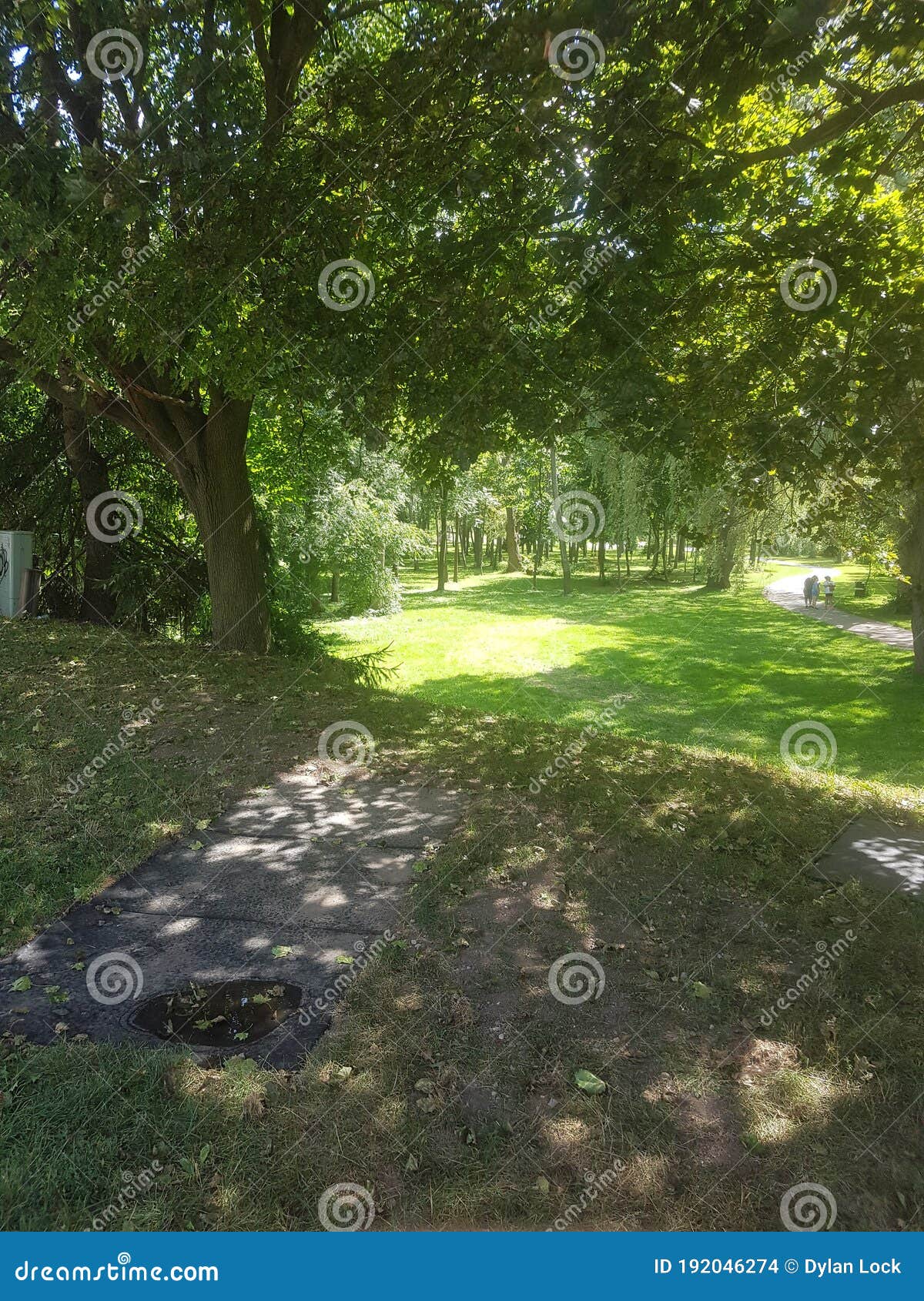 Soper park walk stock photo. Image of beautiful, tree - 192046274