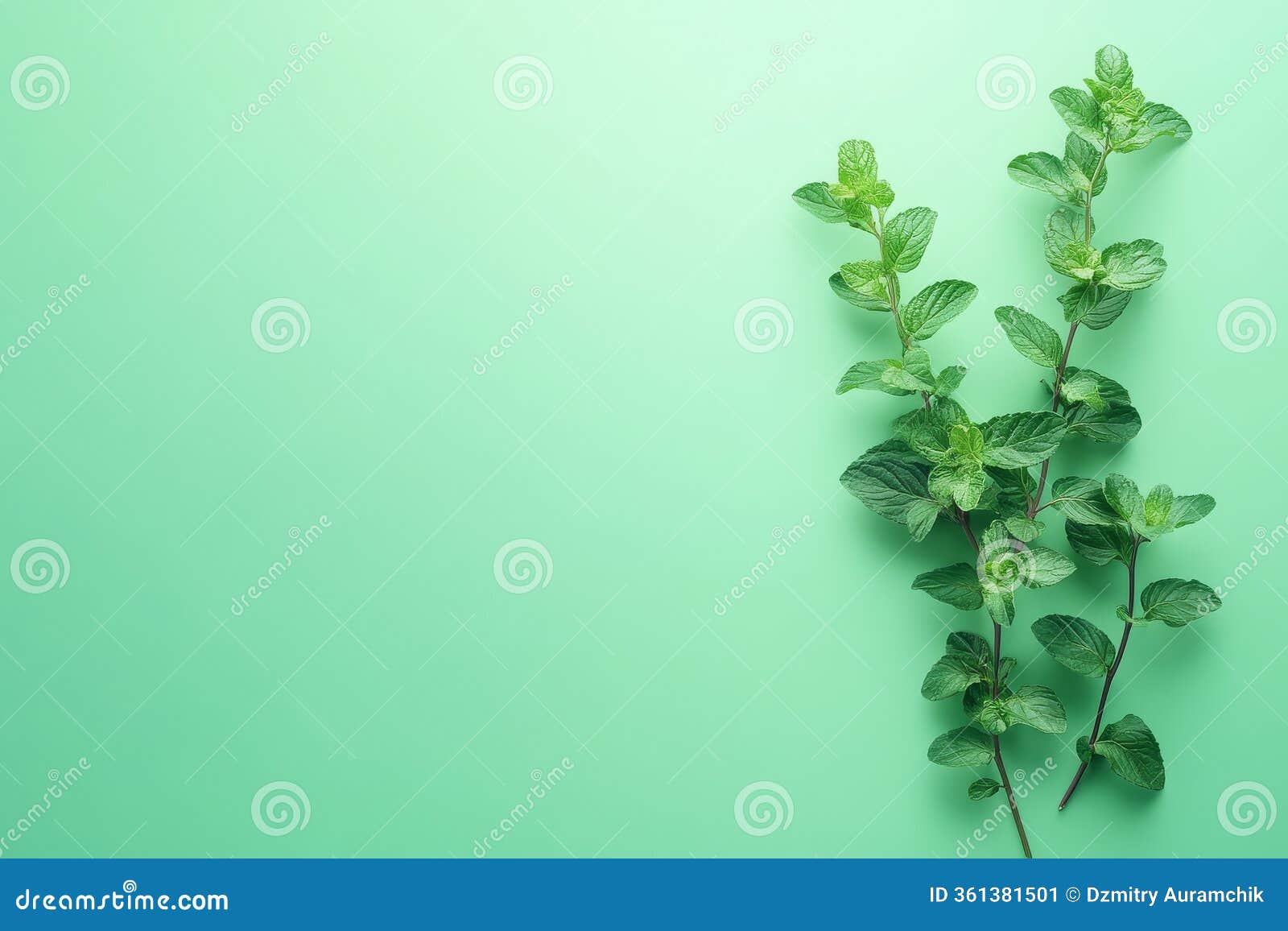 A Sophisticated Mint Green Backdrop Featuring a Vibrant Halftone ...