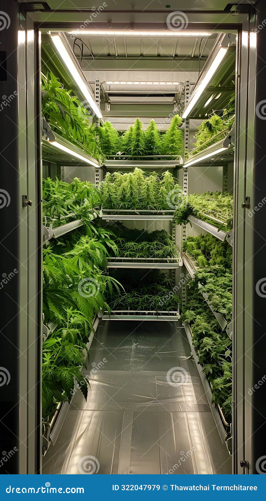 Sophisticated Vertical Hydroponic Farm in Climate-Controlled ...