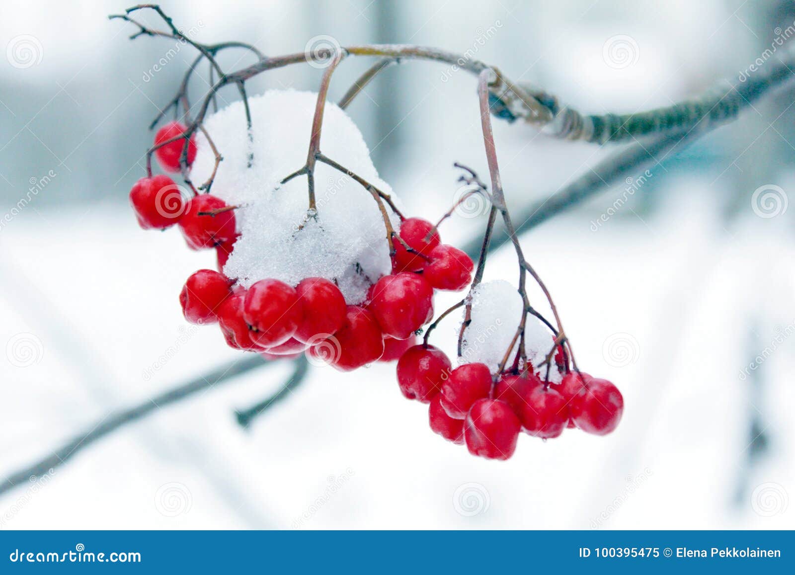 Sorba imagen de archivo. Imagen de cielo, rojo, anaranjado - 100395475