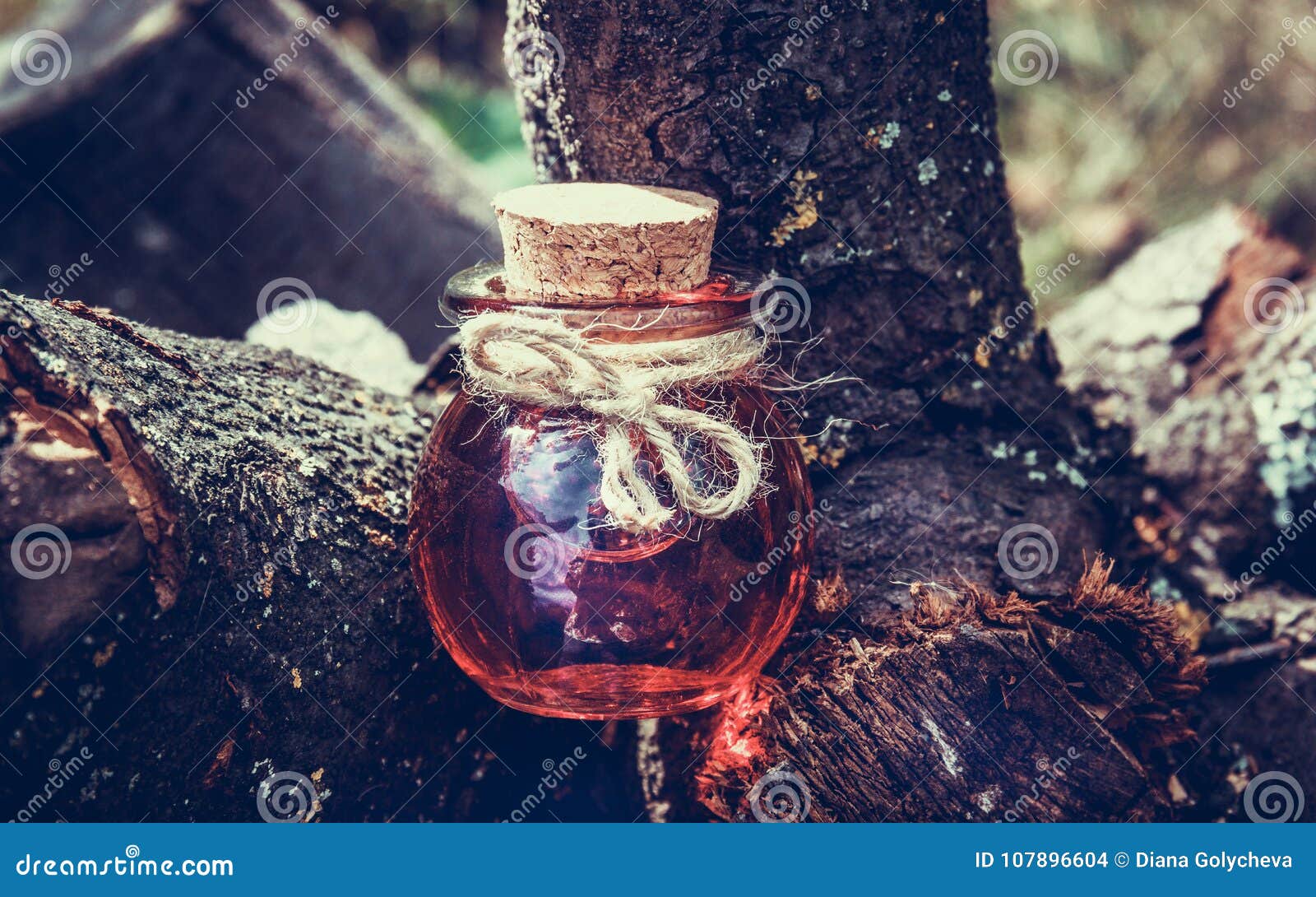 Sorcery Potion in the Forest. Love Potion Stock Photo - Image of ...