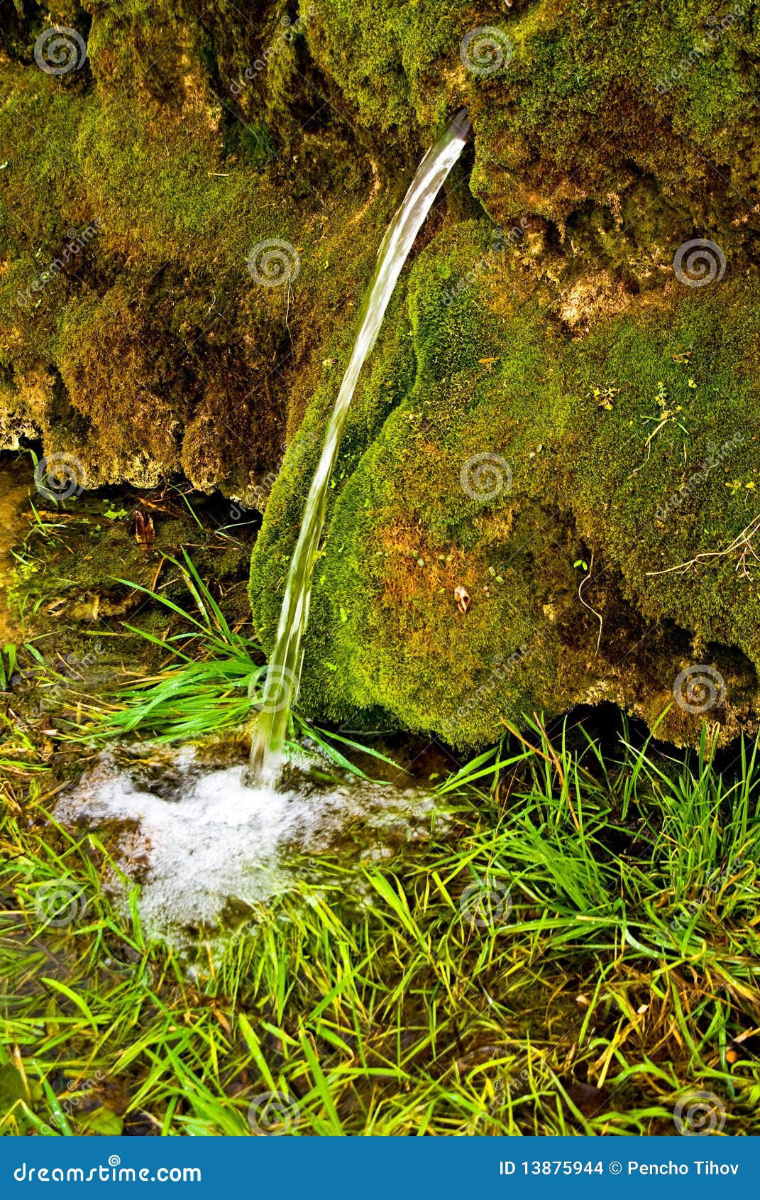 Sorgente fotografia stock. Immagine di impulso, molla - 13875944