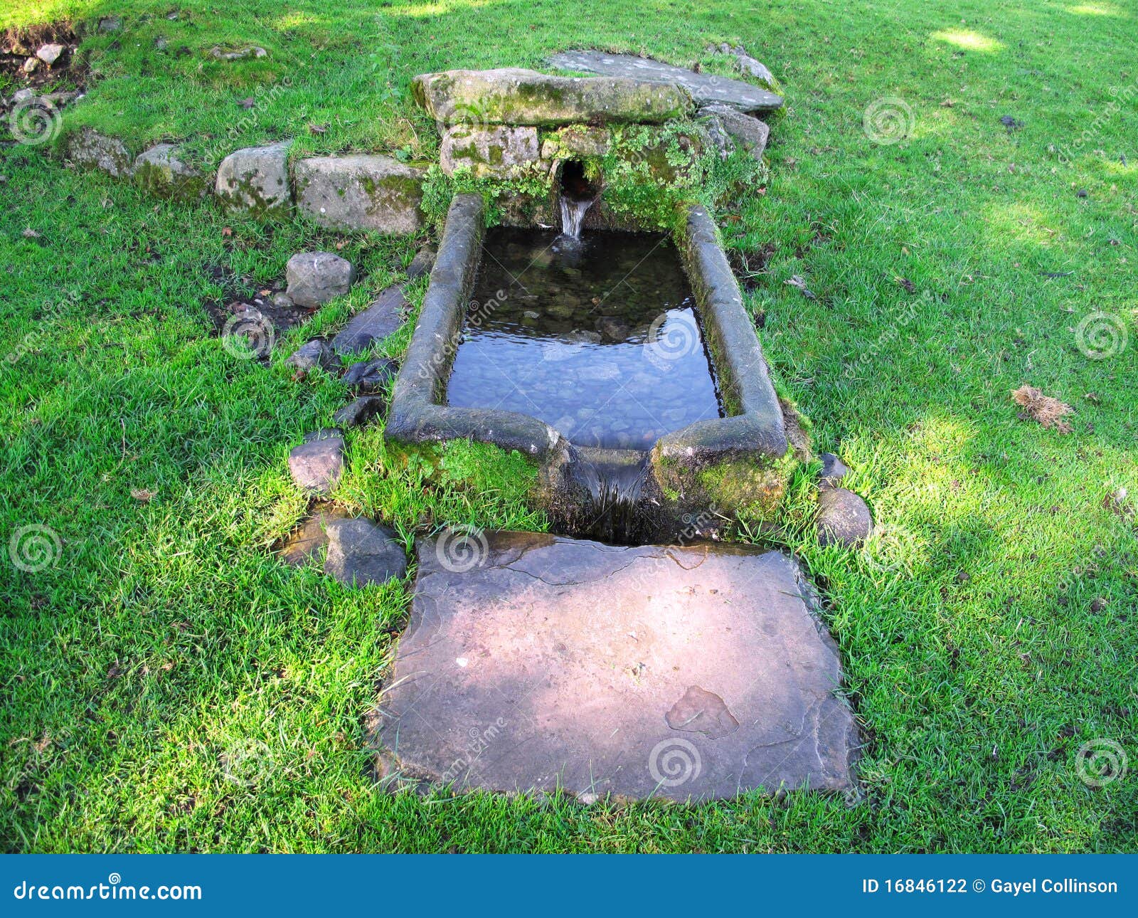 Sorgente Di Acqua Sotterranea Fotografia Stock - Immagine di memoria ...