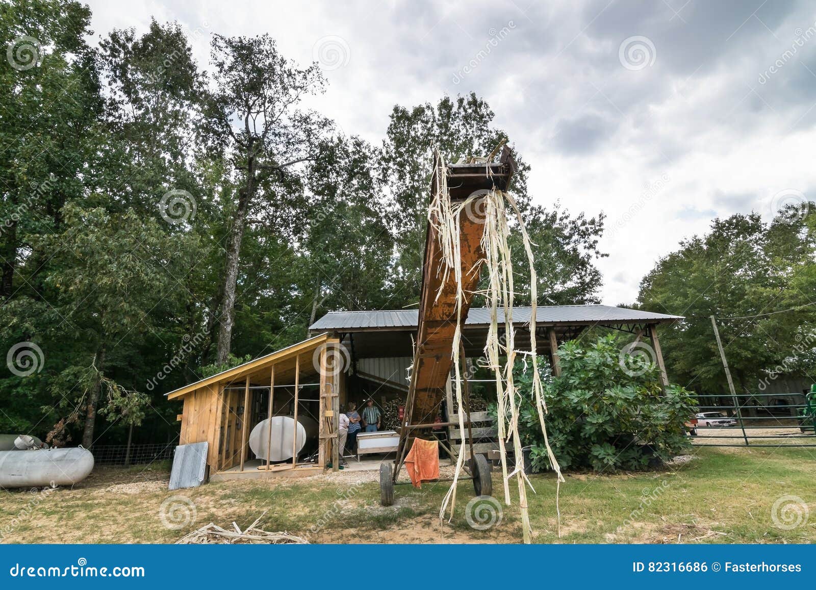 Sorghum Cane Waste. editorial photo. Image of sorghum - 82316686