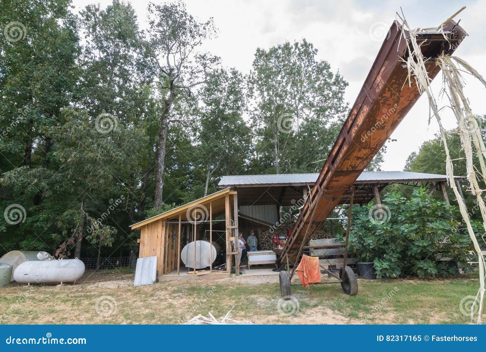 Sorghum Cane Waste. editorial image. Image of scene, sorghum - 82317165