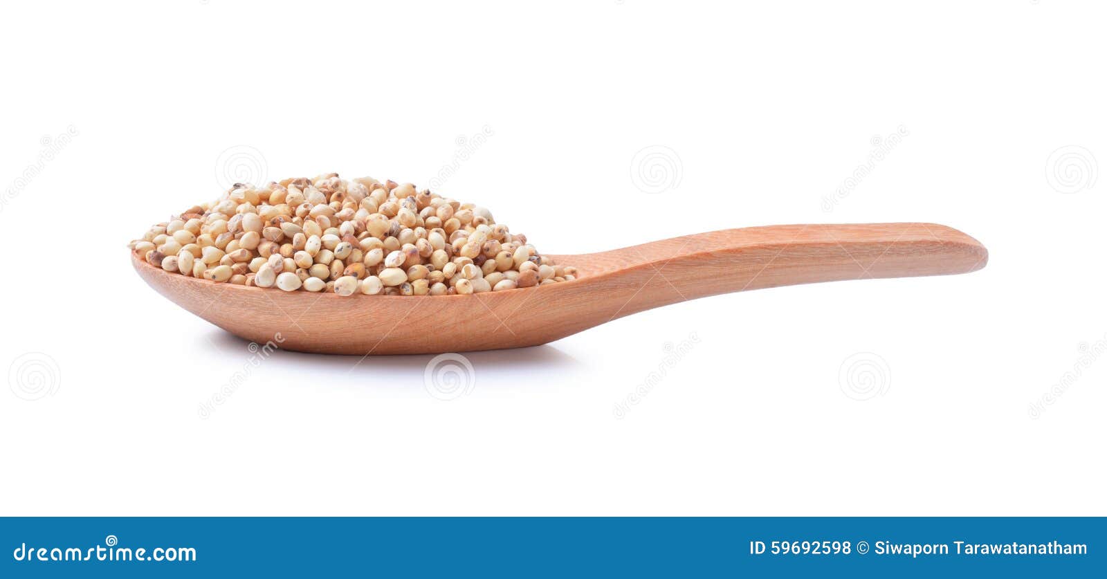 Sorghum rice stock photo. Image of yellow, grain, food - 59692598