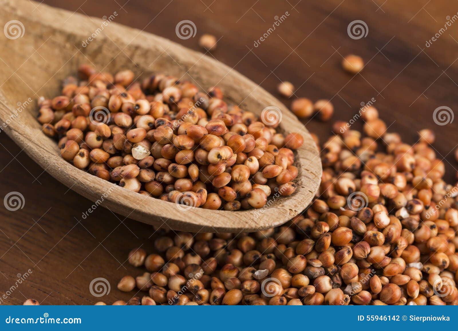 Sorghum, rice stock photo. Image of chinese, grain, yellow - 55946142
