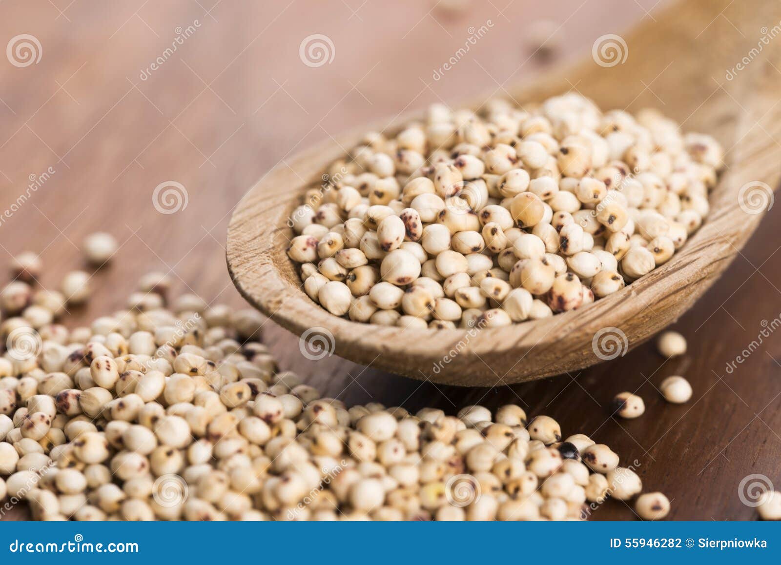 Sorghum, rice stock photo. Image of healthy, grain, agronomy - 55946282