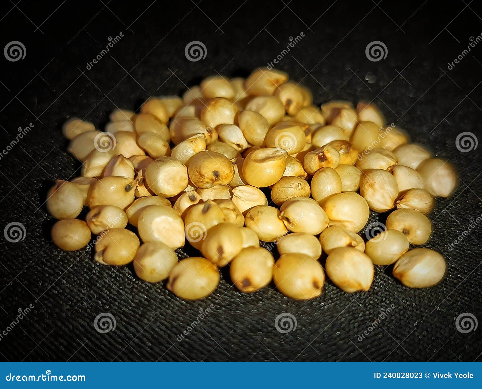 Sorghum Seed Photo Yellow Jawar Seeds Stock Image - Image of sorghum ...