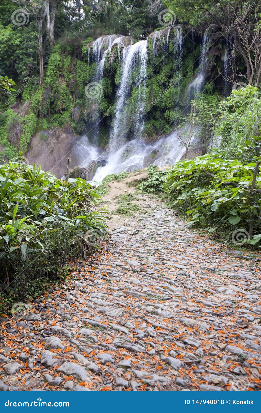 Soroa Waterfall, Pinar Del Rio, Cuba Stock Photo - Image of destination ...