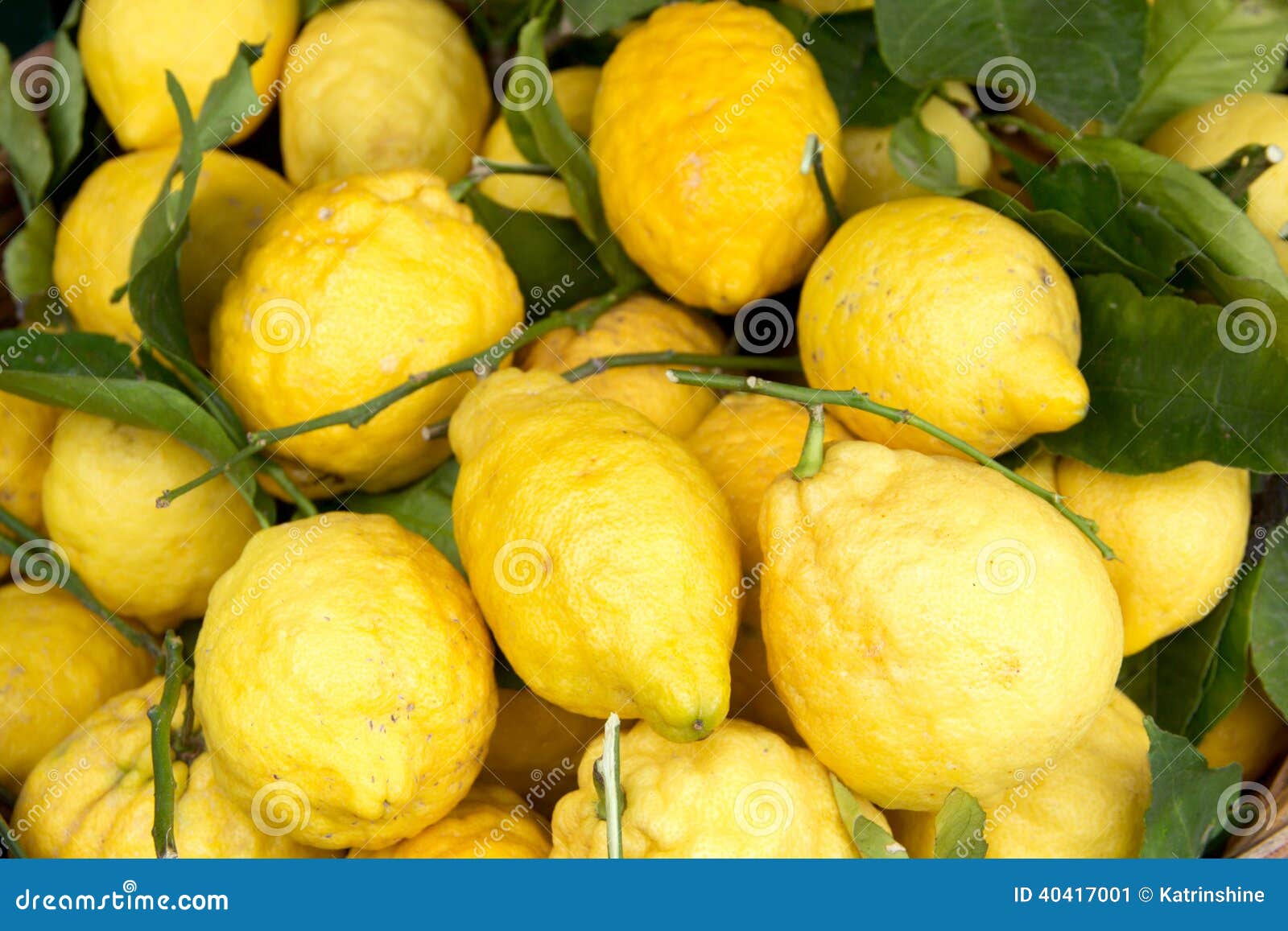 Giant Sorrento Lemons Stock Photography | CartoonDealer.com #36846410