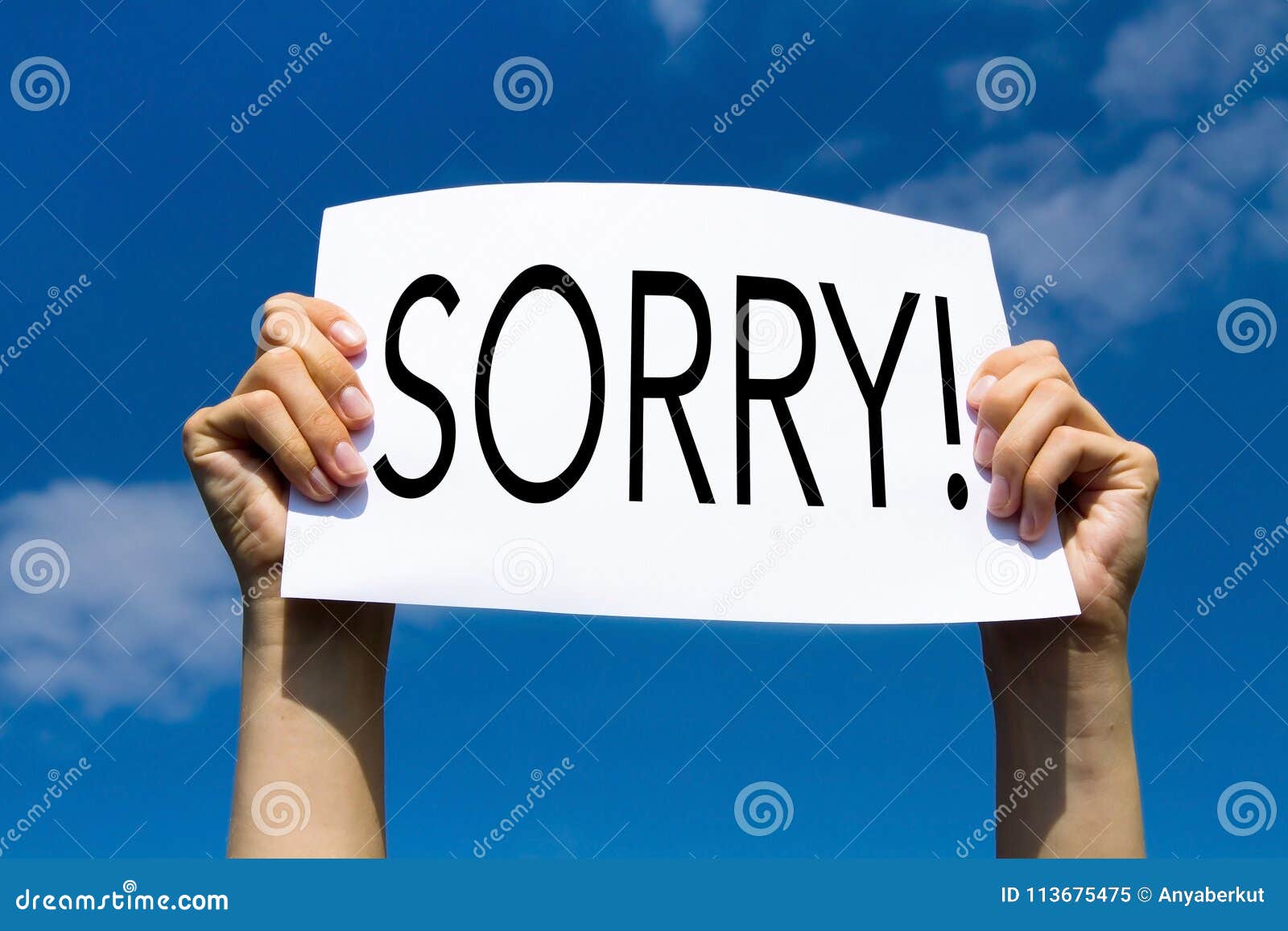 Sorry, apologise concept stock image. Image of icon - 113675475