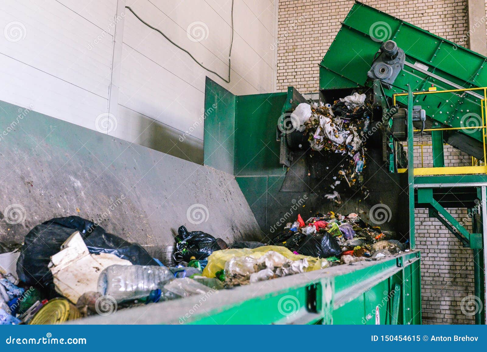 Sort Garbage on the Plant. Waste at the First Stage of Processing Stock ...