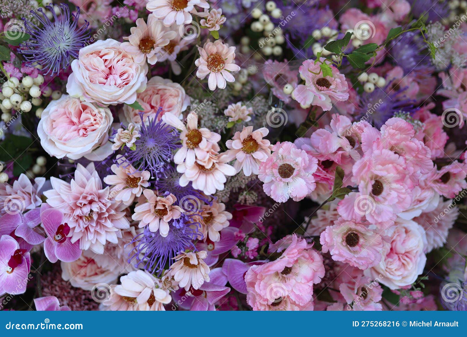 Sortido De Flores Rosadas E Roxas Foto de Stock - Imagem de arbusto, azul: 275268216