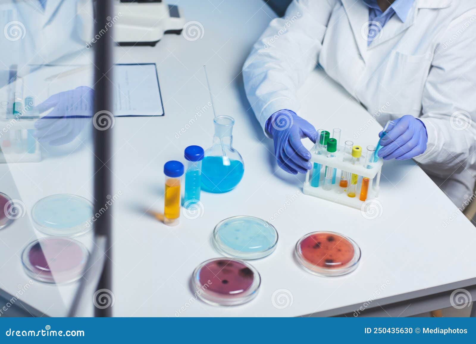 Sorting biological samples stock photo. Image of chemistry - 250435630