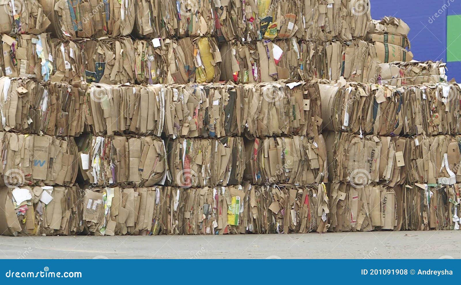 Sorting of Cardboard for Further Processing. Recycling Plant Stock ...