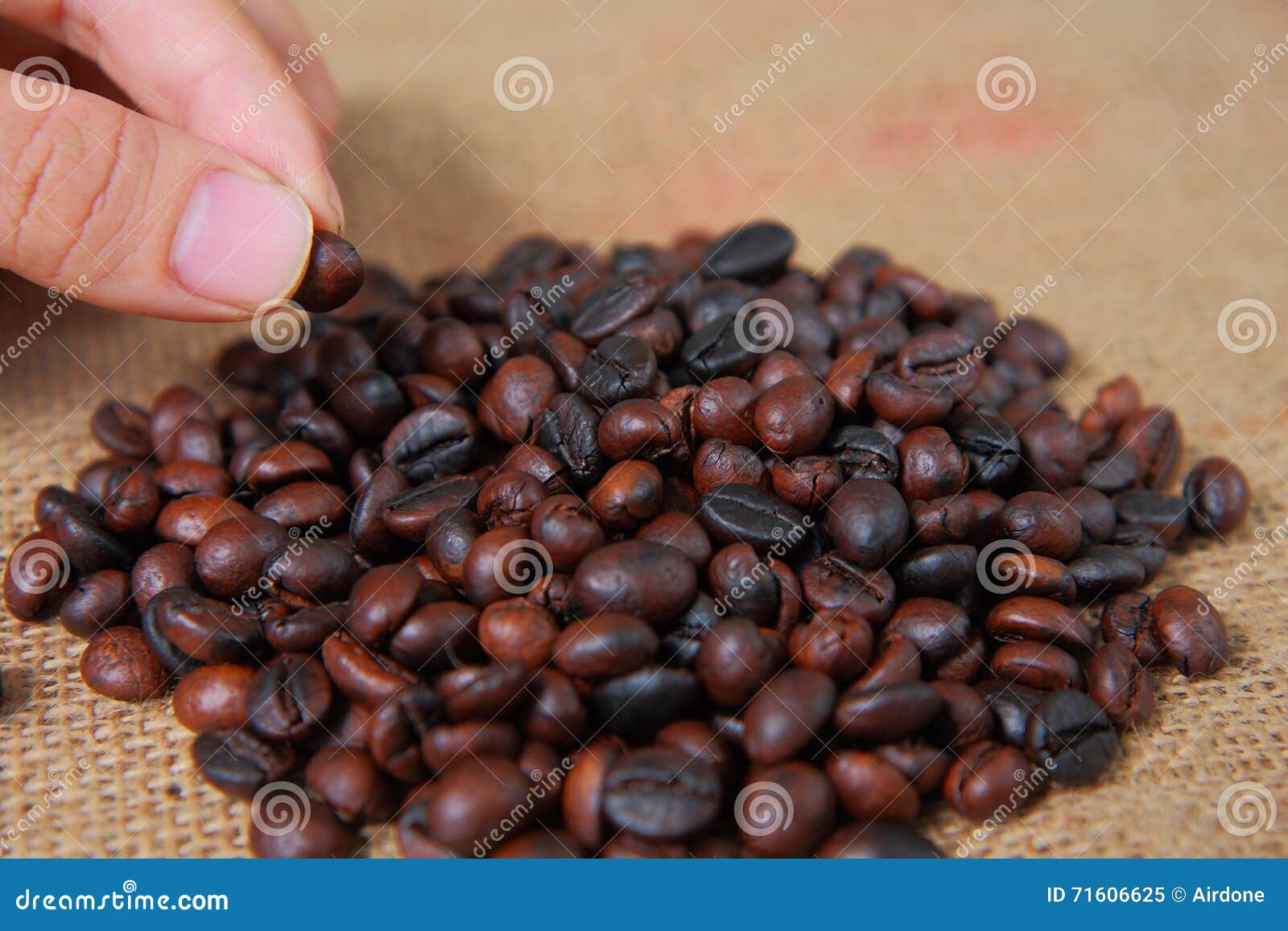 Sorting Coffee Beans stock image. Image of agriculture - 71606625