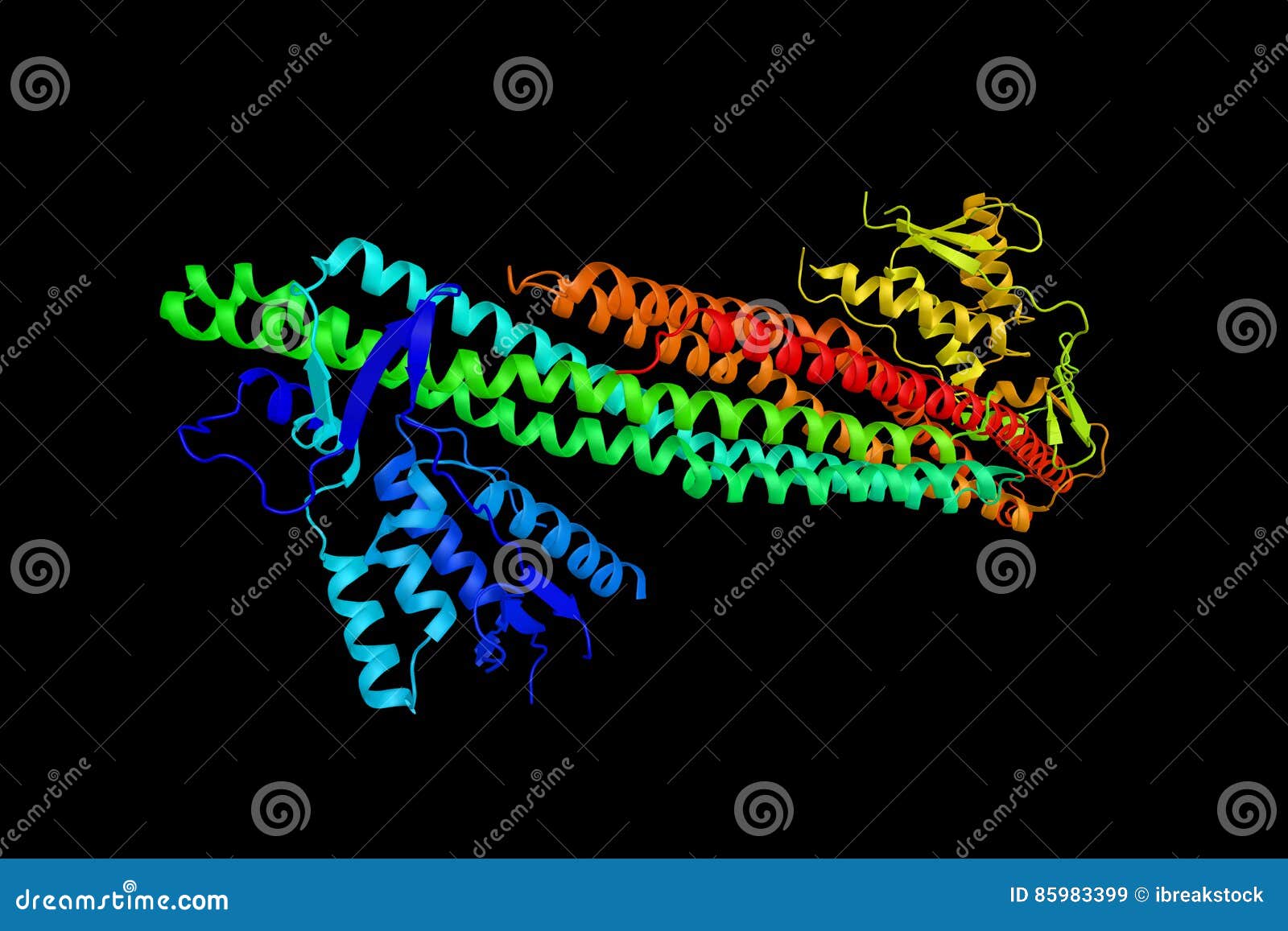 Sorting Nexin-9, a Protein Which Interacts with Activated Cdc42 ...