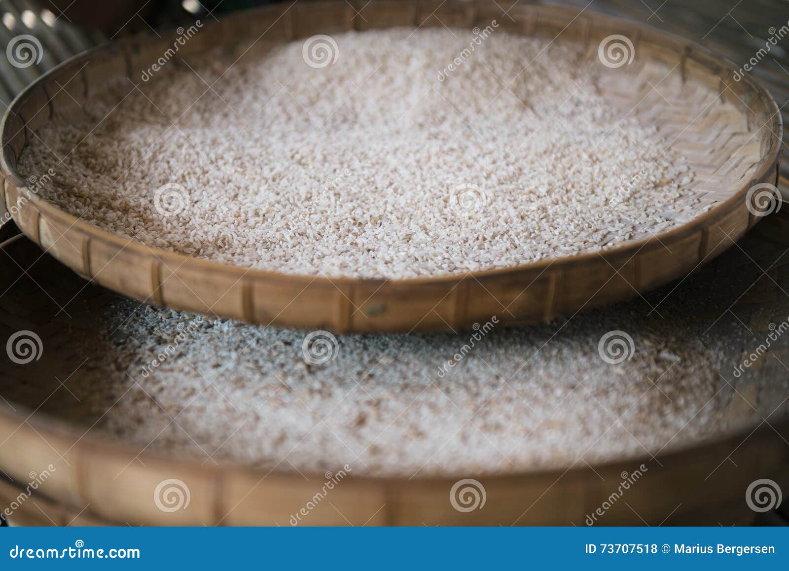 Sorting out the good rice stock photo. Image of long - 73707518