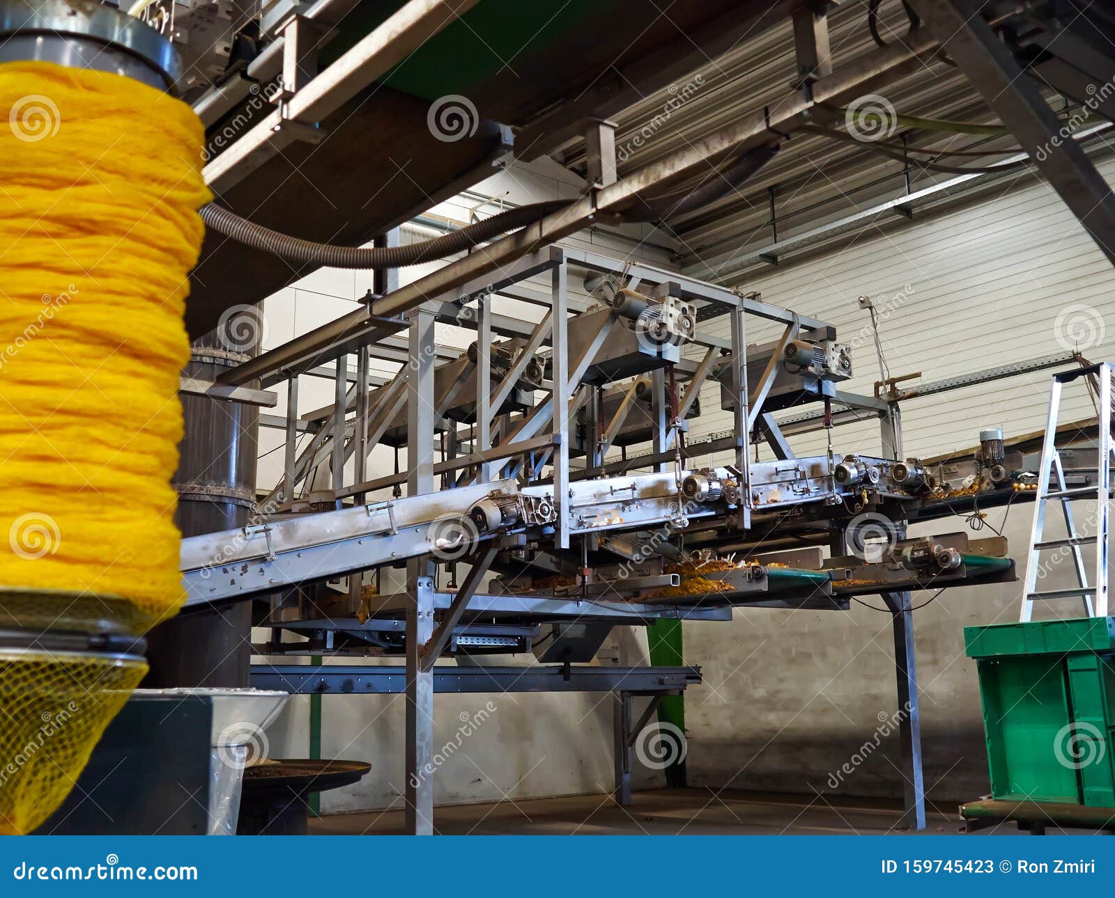 Sorting and Packaging Line in an Agriculture Production Packing House ...