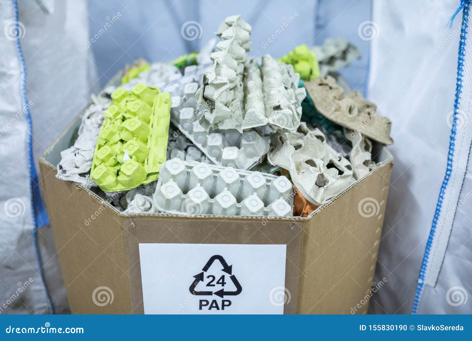 Sorting Recyclables. the Sorted Wooden Rubbish, is Placed in a ...