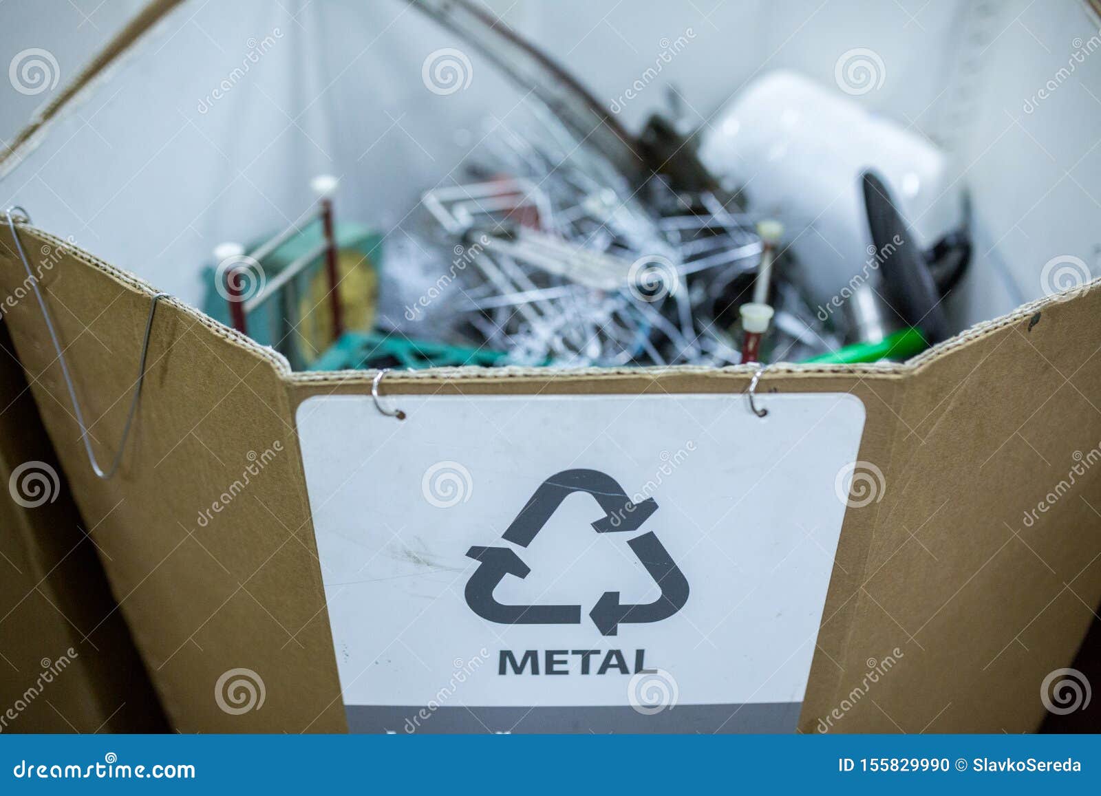 Sorting Recyclables. the Sorted Scrap Metal, is Placed in a Container ...