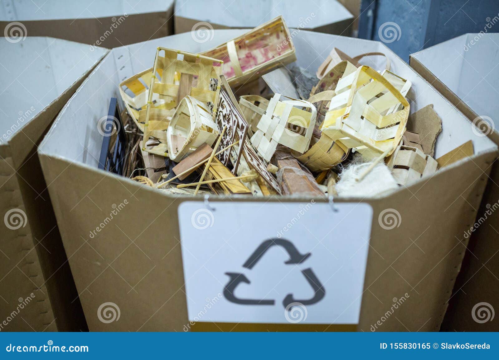Sorting Recyclables. the Sorted Wooden Rubbish, is Placed in a ...