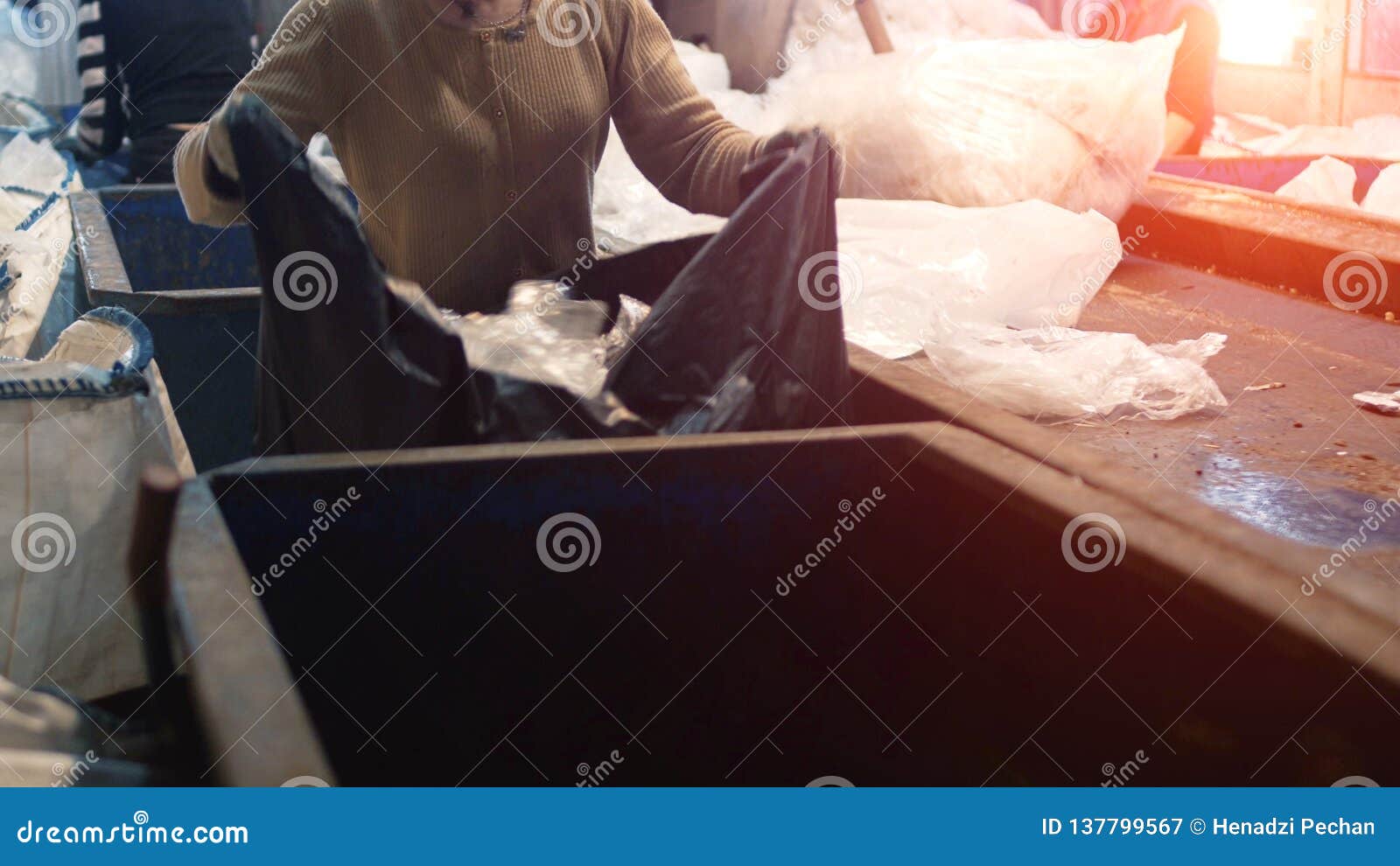 Sorting and Recycling of Garbage, Cellophane, Workers Sort Garbage in a ...