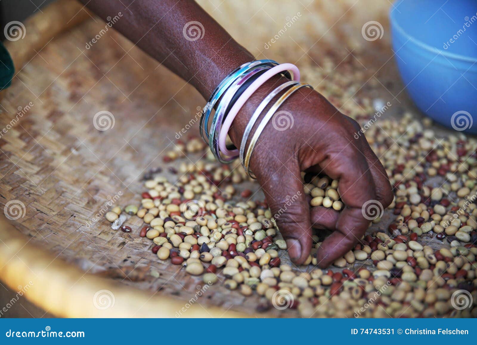 Sorting seeds stock image. Image of heap, garden, seeds - 74743531