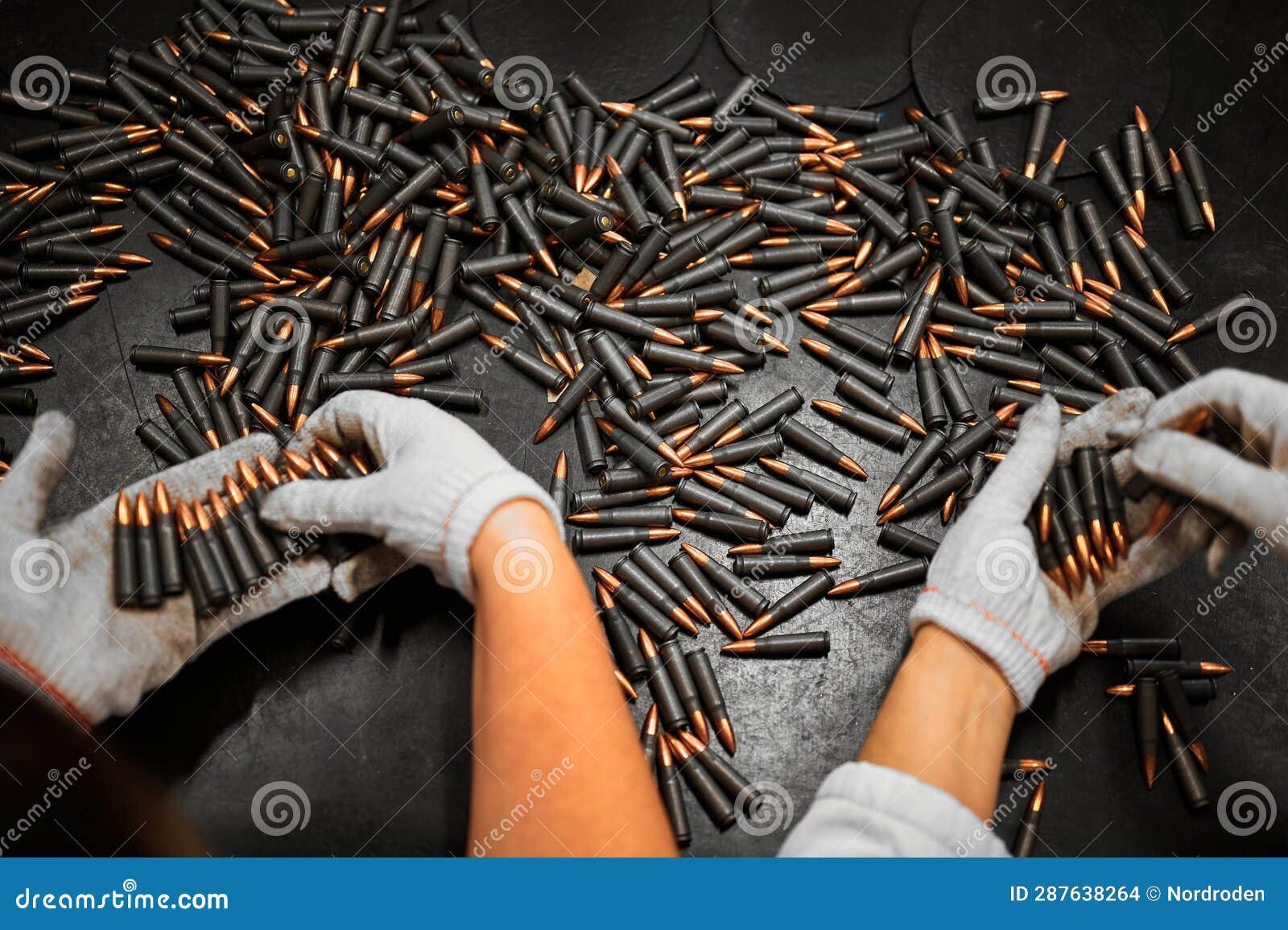 Sorting and Selective Quality Control of Weapon Cartridges. Hands of ...
