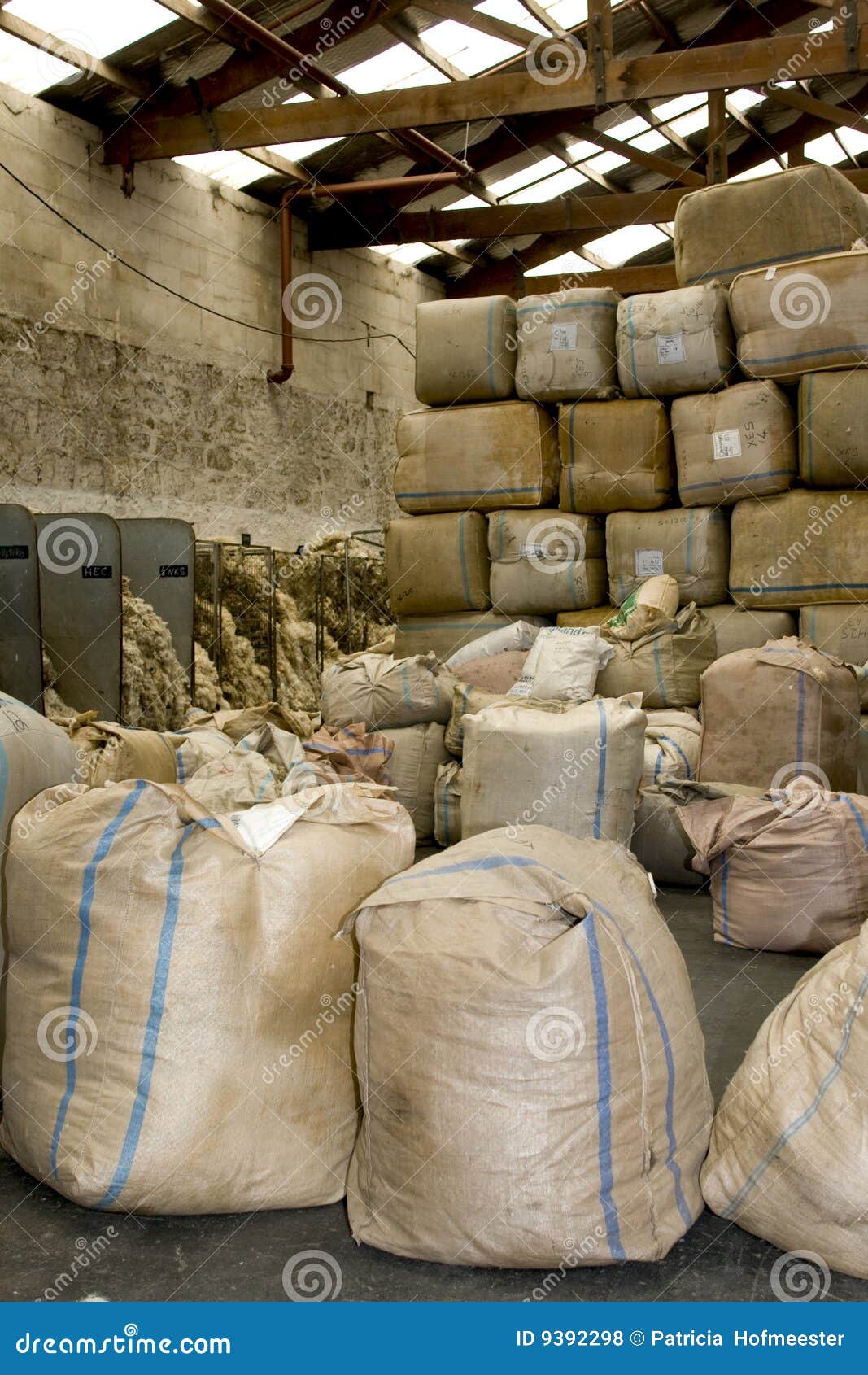 Sorting wool for transport stock photo. Image of storage - 9392298