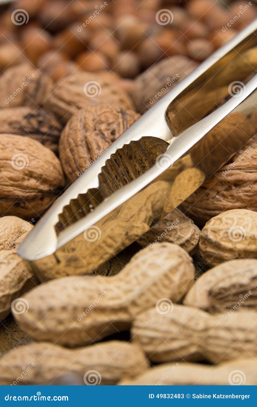 Sorts of nuts stock image. Image of vegetarian, delicious - 49832483