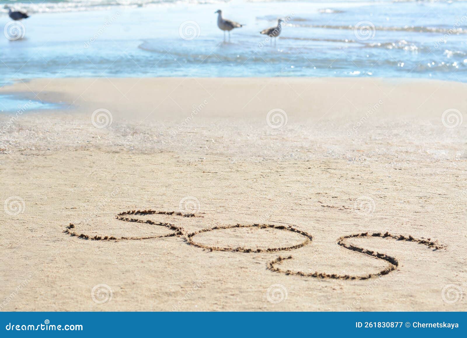 SOS Message Written on Sand Near Sea Stock Image - Image of concept ...