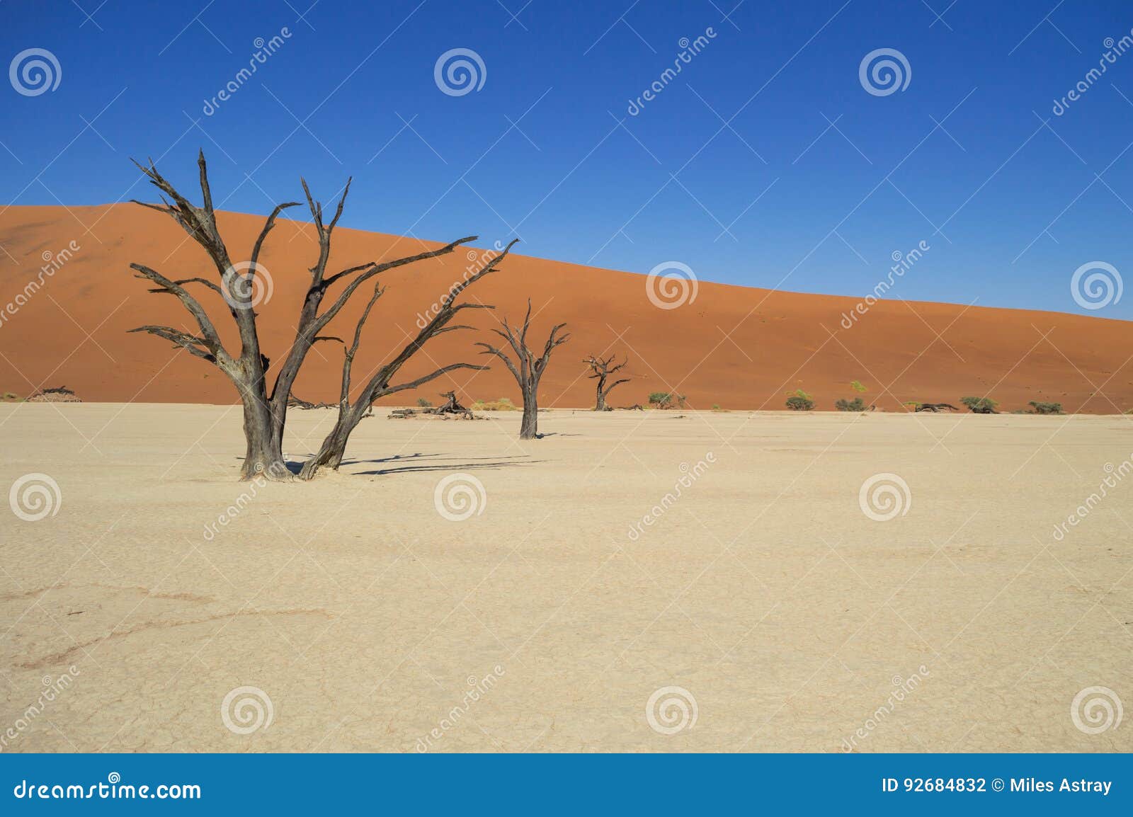 Sossusvlei Salt Pan Desert Landscape with Dead Trees, Namibia Stock ...