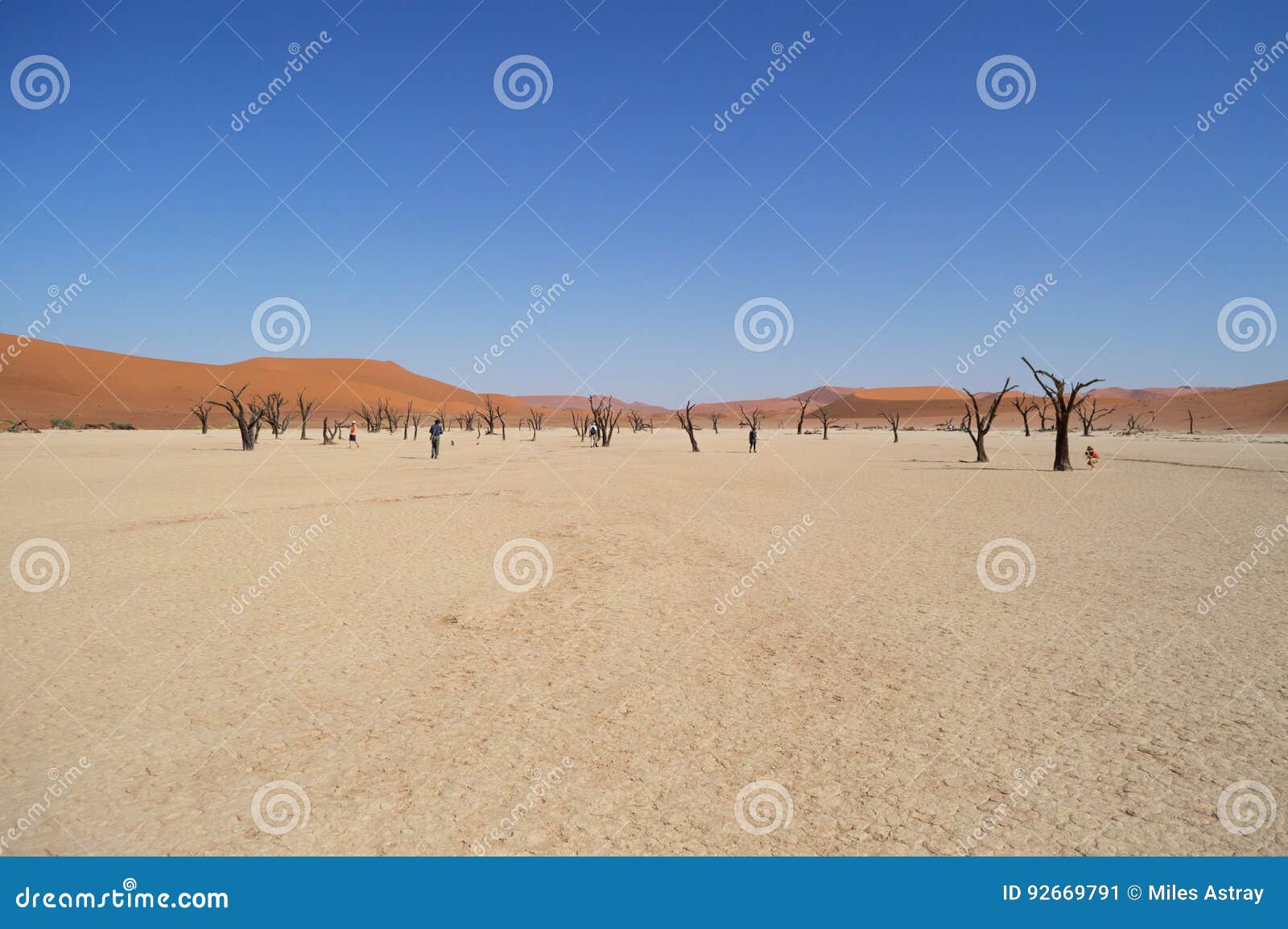 Sossusvlei Salt Pan Desert Landscape with Dead Trees and People Stock ...