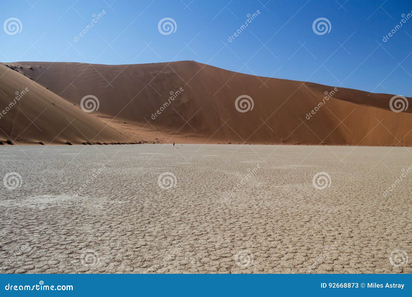 Sossusvlei Salt Pan Desert Landscape with Dune, Namibia Stock Image ...
