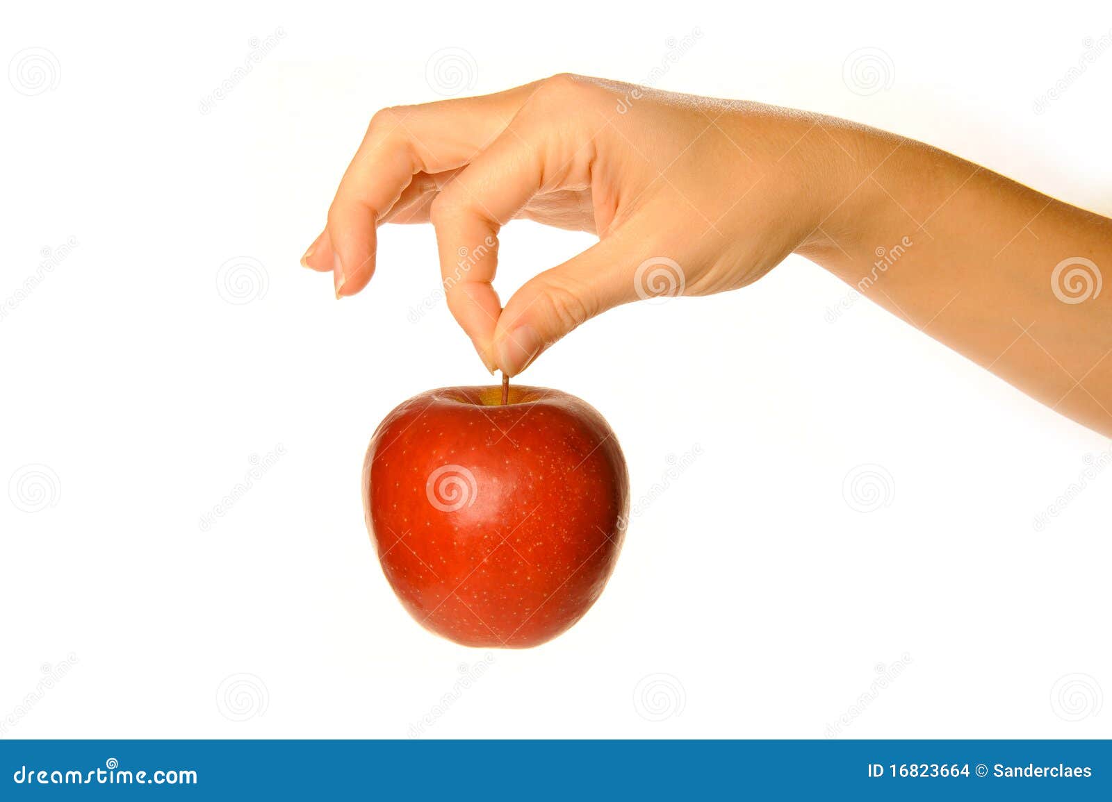 Sostener la manzana roja foto de archivo. Imagen de muchacha - 16823664