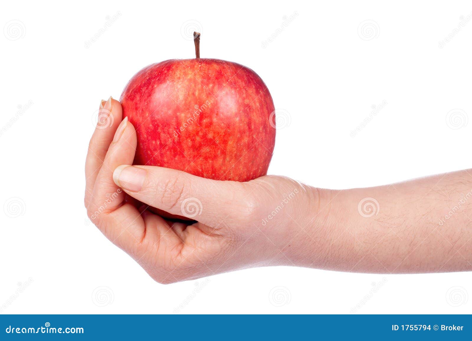 Sostener una manzana roja foto de archivo. Imagen de sano - 1755794