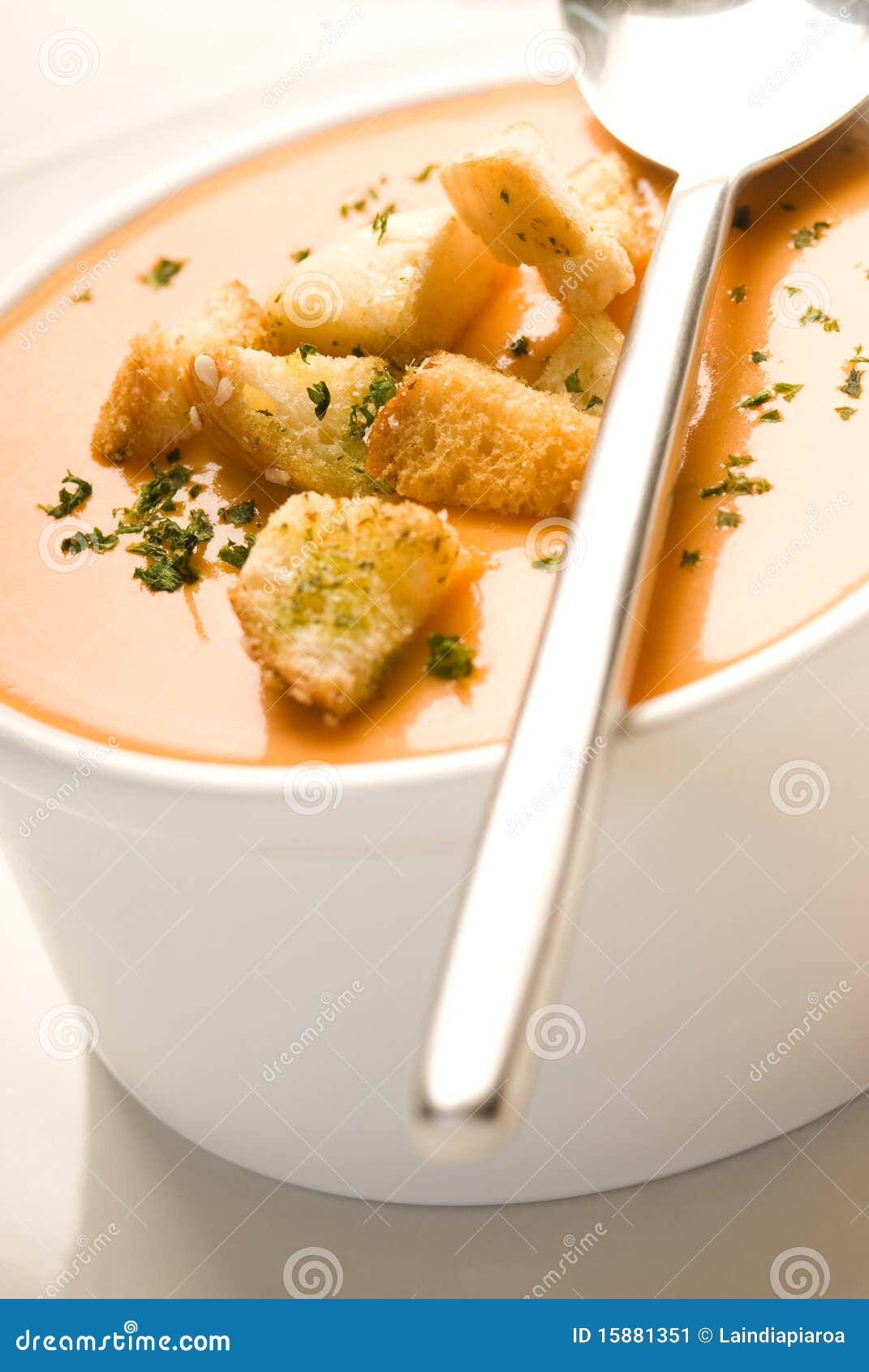 Soup Plate stock image. Image of garlic, beautiful, health - 15881351