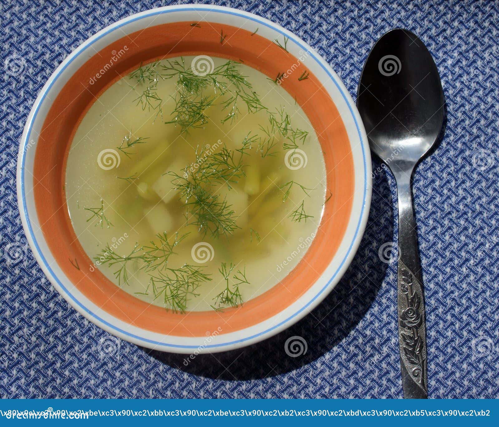 Soup from a Siliculose String Bean Stock Image - Image of fiber ...