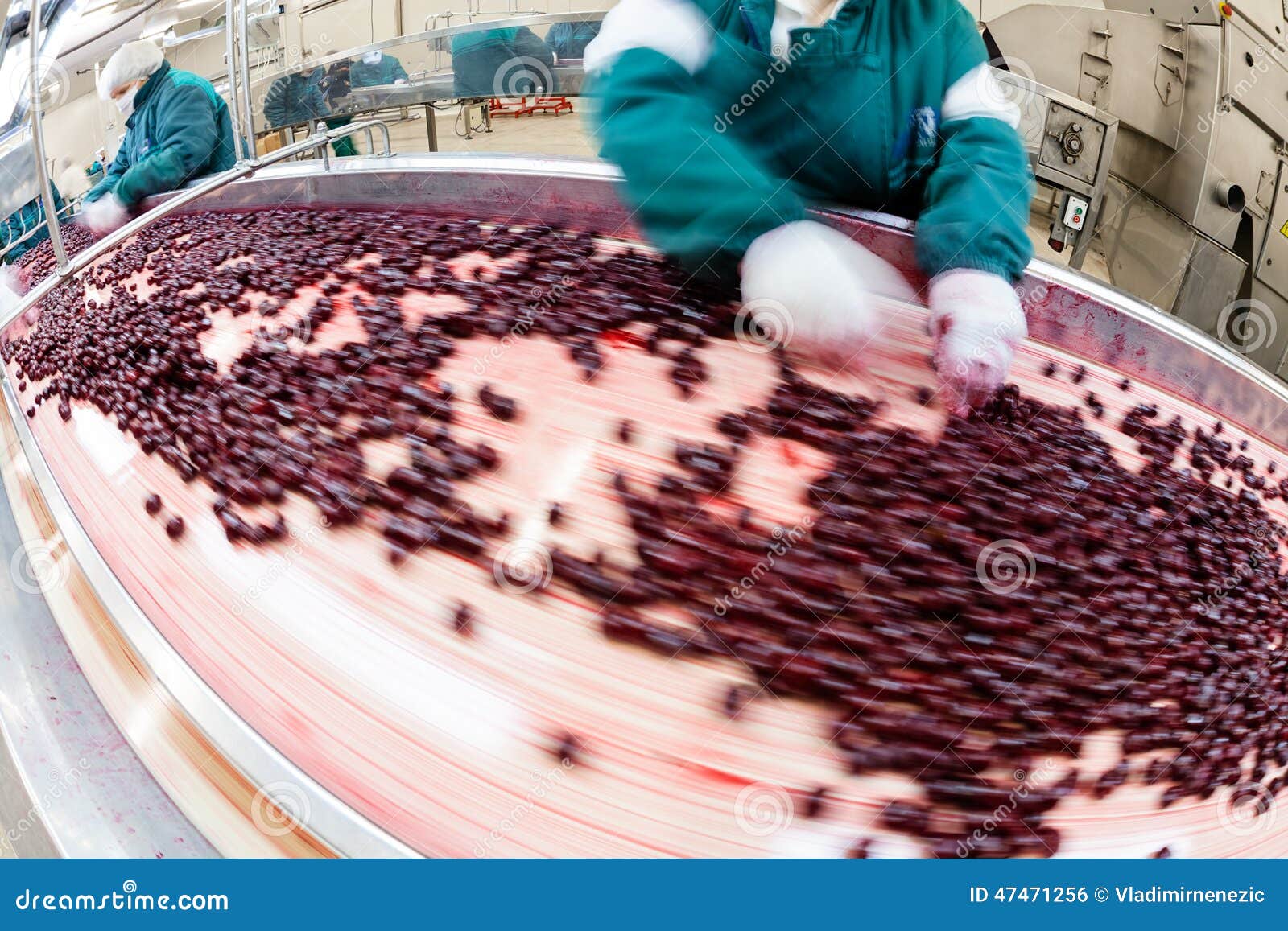 Sour Cherries in Processing Machines Stock Photo - Image of food ...