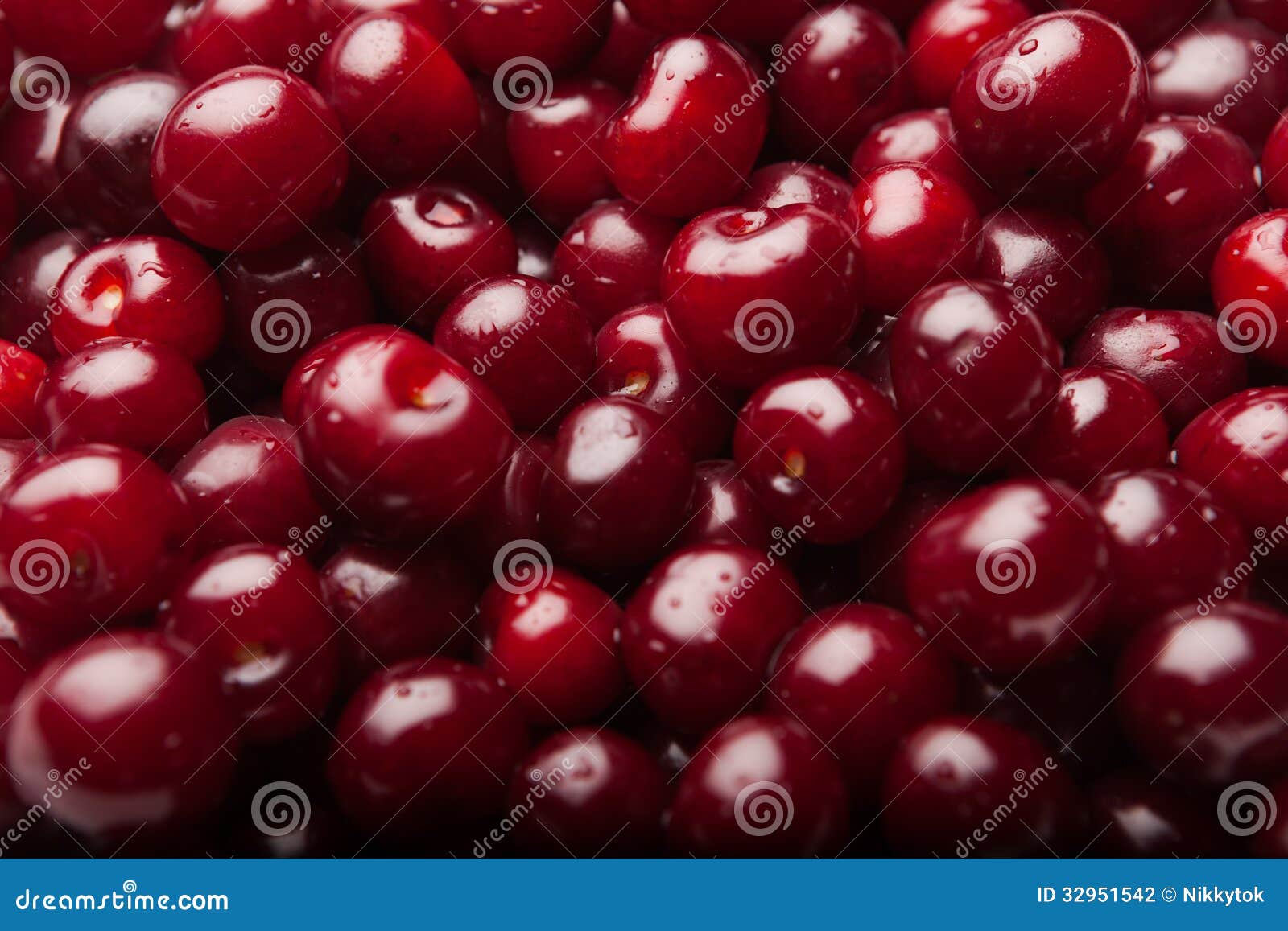 Sour cherries stock photo. Image of backdrop, wallpaper - 32951542