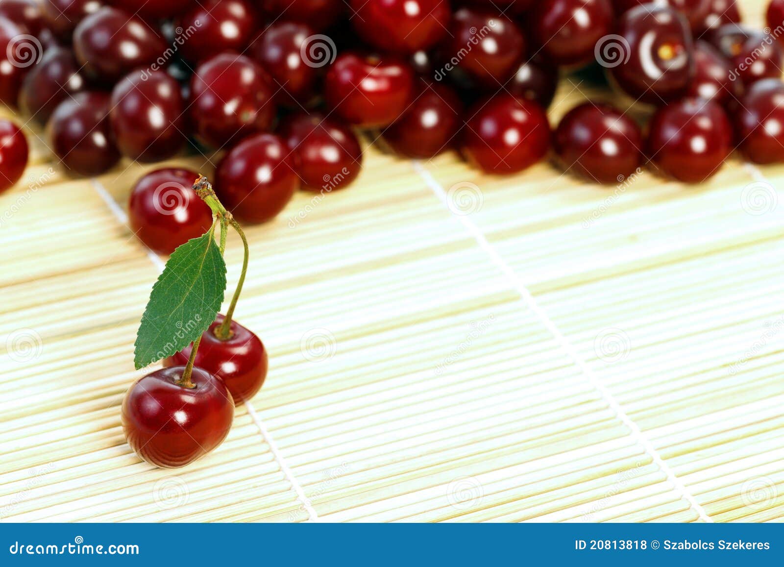 Sour cherry stock photo. Image of nature, refreshment - 20813818