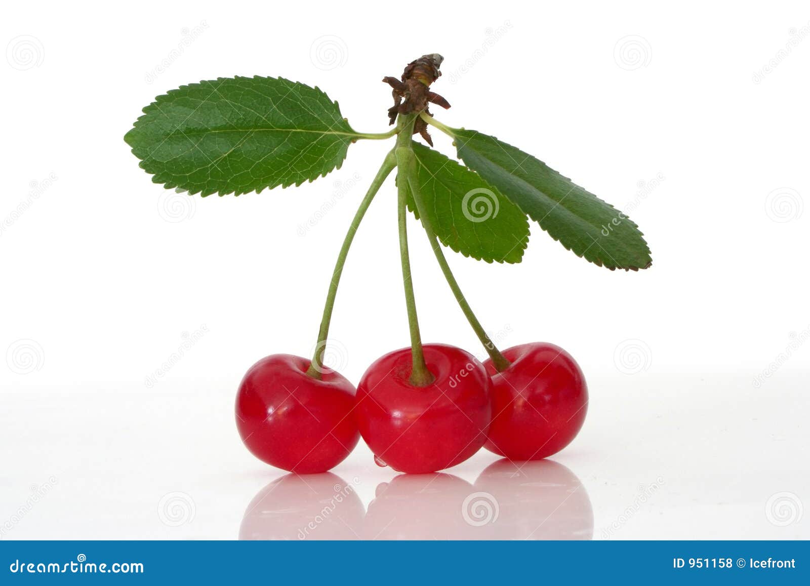 Sour Cherry Pie With Pretty Lattice Top Royalty-Free Stock Photo ...