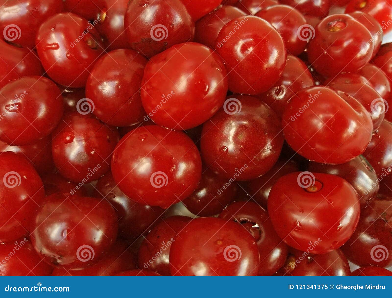 Sour Cherry Fruits Close Up Stock Image - Image of natural, fresh ...