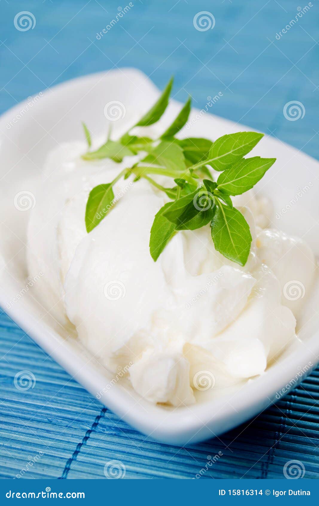 Sour Cream with Basil Leaves Stock Photo - Image of sour, milk: 15816314