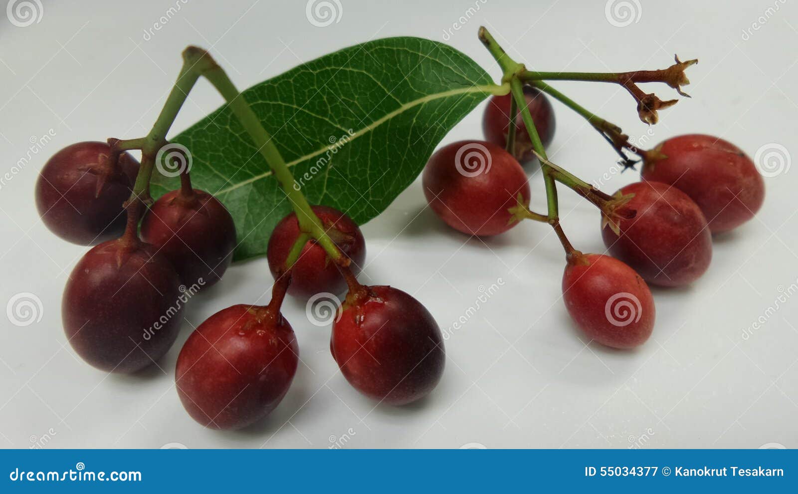 Sour Limeberry stock image. Image of fruit, limeberry - 55034377
