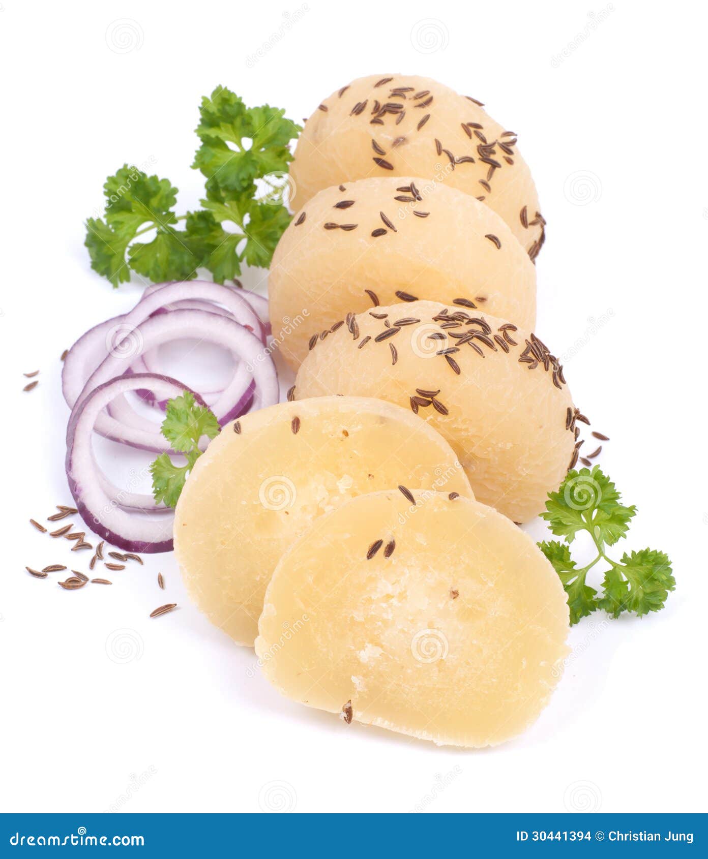 Sour milk cheese stock photo. Image of sour, hand, parsley - 30441394