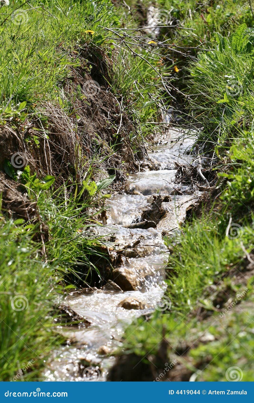 Source stock photo. Image of foliage, clean, mountain - 4419044