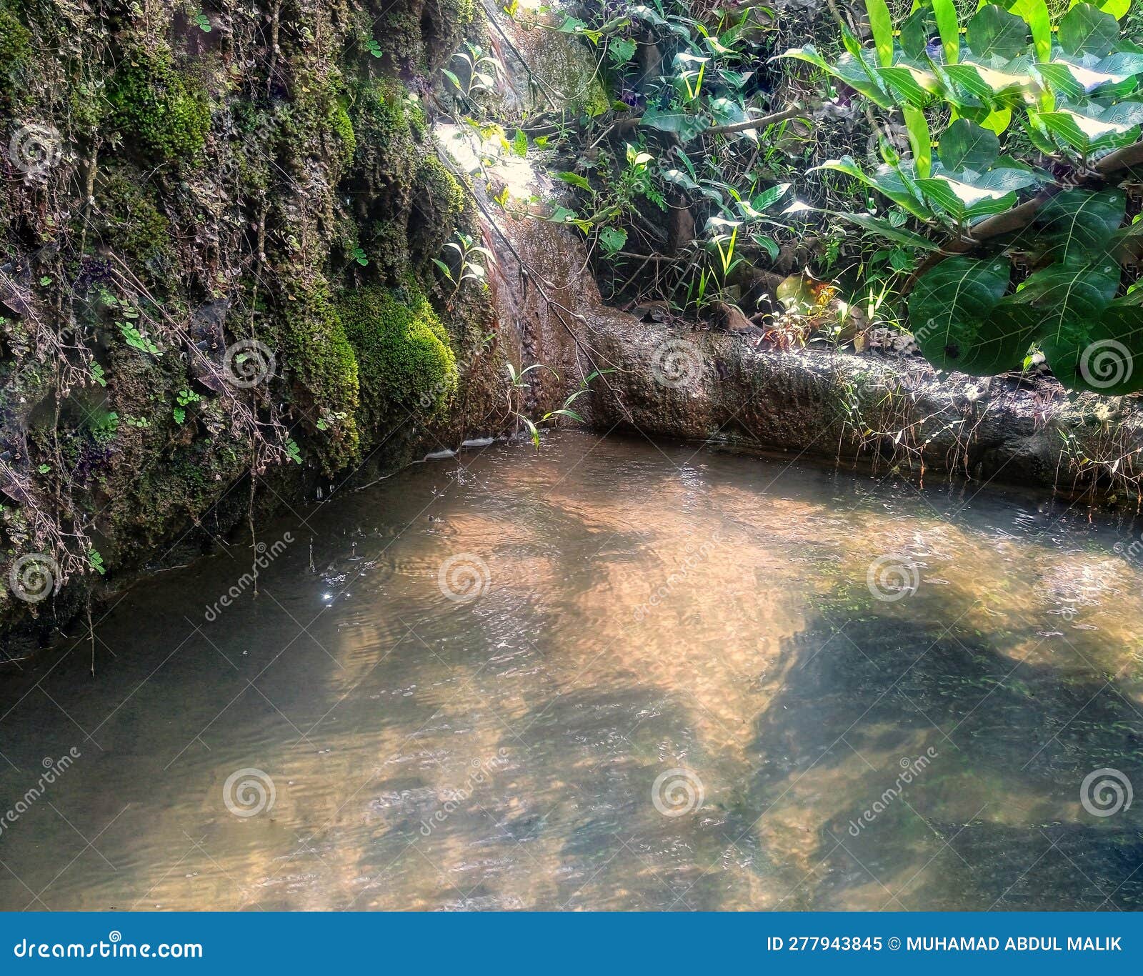 The Source of Clear Water in the Middle of the Forest on the Island of ...